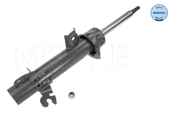 6785770 BMW Amortiguador delantero derecho
