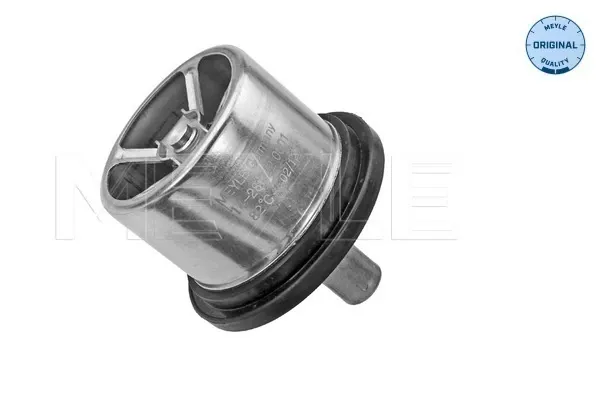 1383576 SCANIA Termostato