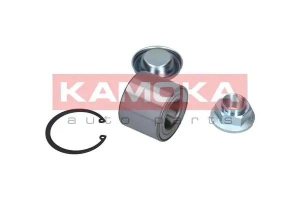 5600092 KAMOKA Cojinete de rueda