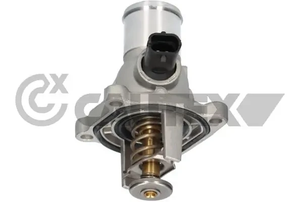 756861 CAUTEX termostato