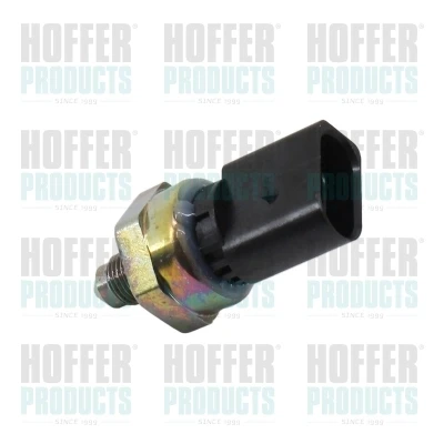 059906054L BENTLEY sensor de presión de combustible