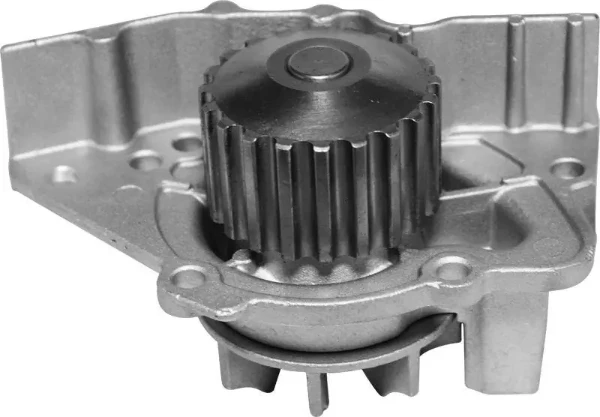 DP016 DAYCO bomba de agua