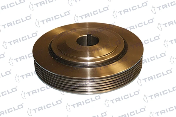 421228 TRICLO polea de cigüeñal