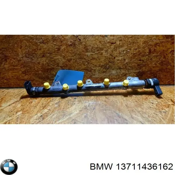 13711436162 BMW Tubo flexible de aspiración, cuerpo mariposa