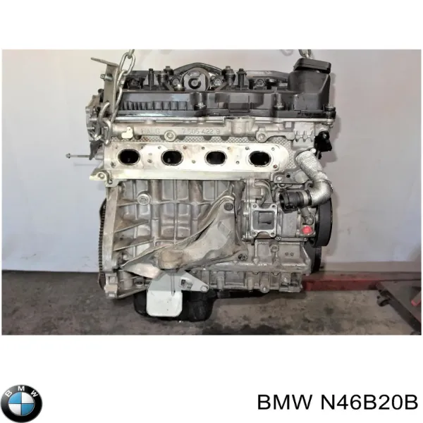 N46B20B BMW Motor completo