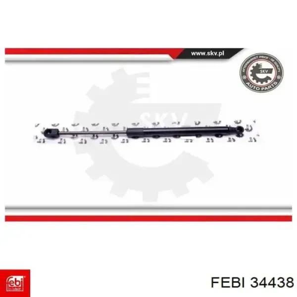 8731 R7 PEUGEOT/CITROEN Amortiguador maletero