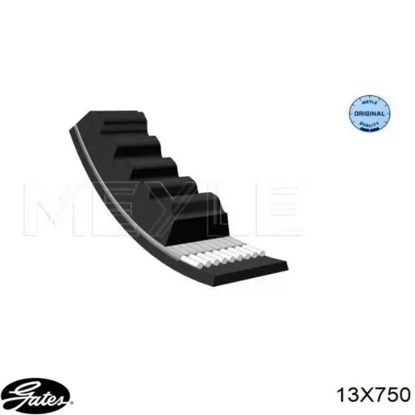 s2521542041 HYUNDAI/KIA Correa trapezoidal