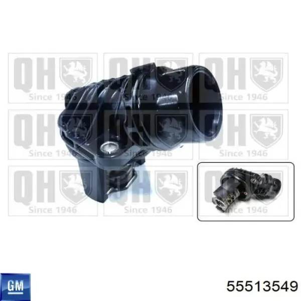 55513549 GENERAL MOTORS Termostato