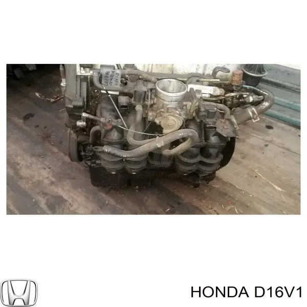 D16V1 HONDA Motor completo