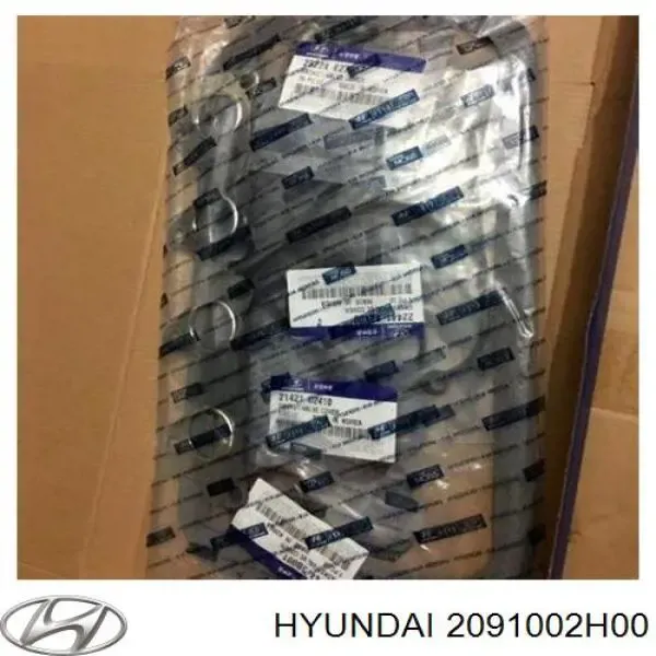 2091002H00 HYUNDAI/KIA Juego de juntas para motor