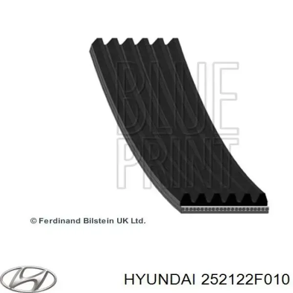 252122F010 HYUNDAI/KIA Correa trapezoidal