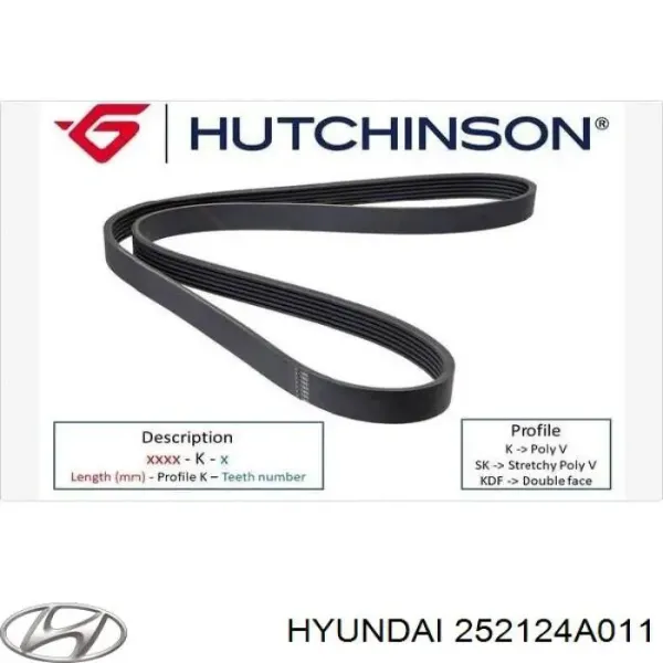 252124A011 HYUNDAI/KIA Correa trapezoidal