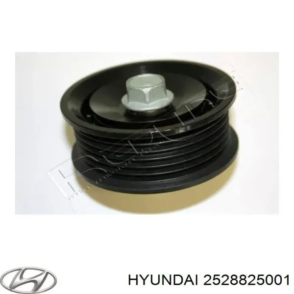 2528825001 HYUNDAI/KIA Polea inversión / guía, correa poli V
