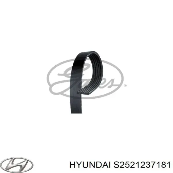 S2521237181 HYUNDAI/KIA Correa trapezoidal