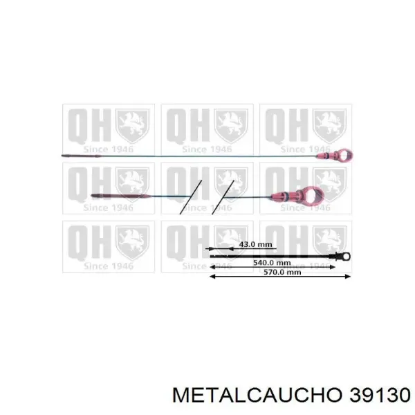 9824433780 PEUGEOT/CITROEN Varilla de nivel de aceite