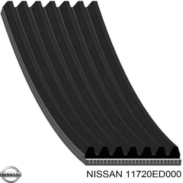 11720ED000 NISSAN/INFINITI Correa trapezoidal
