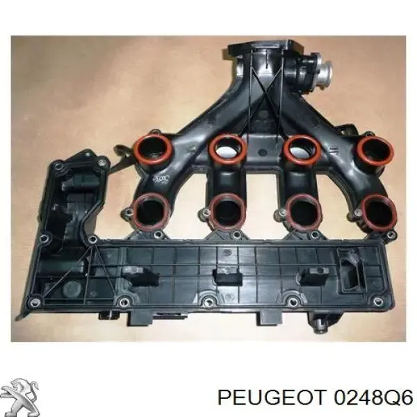 0248Q6 PEUGEOT/CITROEN Tapa de balancines