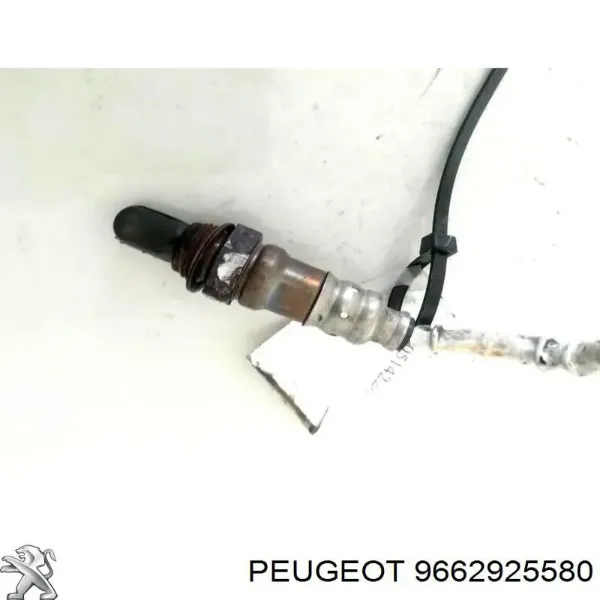 9662925580 PEUGEOT/CITROEN - repuestos Peugeot/Citroen a precio barato