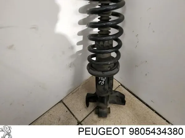 9805434380 PEUGEOT/CITROEN Amortiguador trasero