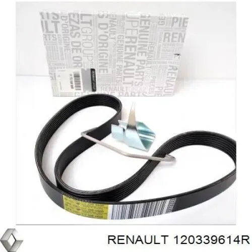 120339614R RENAULT (RVI) Aros de pistón para 1 cilindro, STD