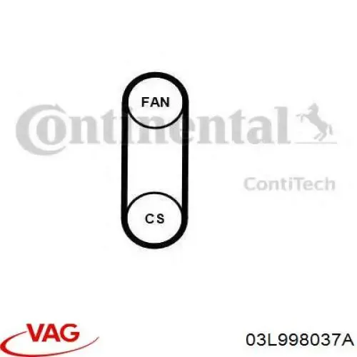 03L998037A VAG Correa trapezoidal